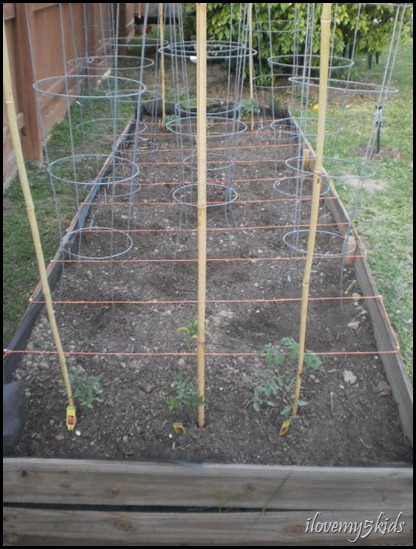 Square Foot Gardening